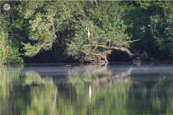 Kala Oya Estuary - April 2022