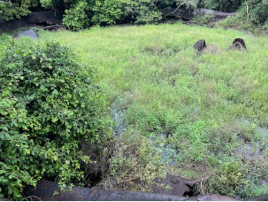 Trincomalee Oil Tank Farm - Down Memory Lane to April 1942