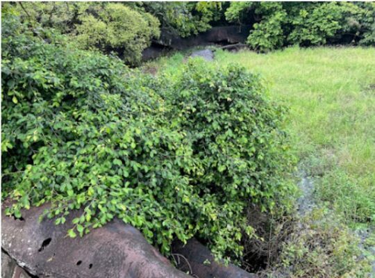 Trincomalee Oil Tank Farm - Down Memory Lane to April 1942