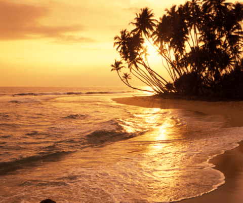 Popular beaches in sri lanka - By Malsha – eLanka - eLanka