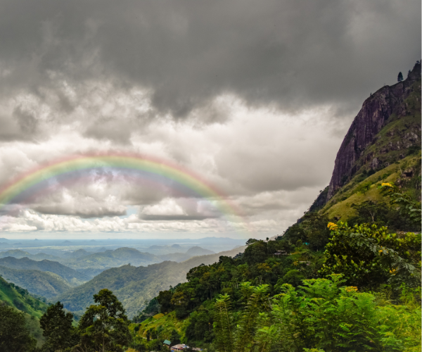 Thoppigala – spectacular archetypal inselberg - By Arundathie ...