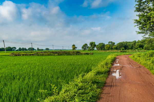 Udawadiya Village – steeped in legend and history - By Arundathie ...