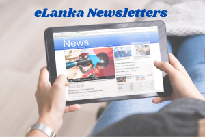 The National Flower of Sri Lanka: The Blue Water Lily