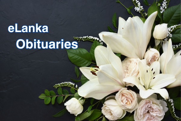 Caryota urens: The Kitul Tree of Sri Lanka - By Nadeeka - eLanka - eLanka